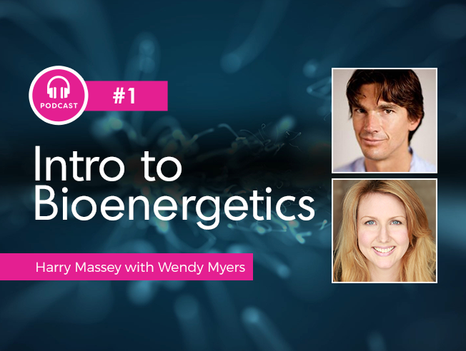 Transcript #1 Intro To Bioenergetics With Harry Massey & Wendy Myers ...