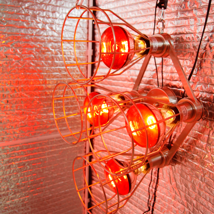 Top 30 Benefits of Infrared Saunas - Myersdetox.com