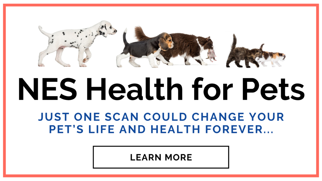 #296 Using Bioenergetics On Pets to Reduce Pain, Inflammation, and ...