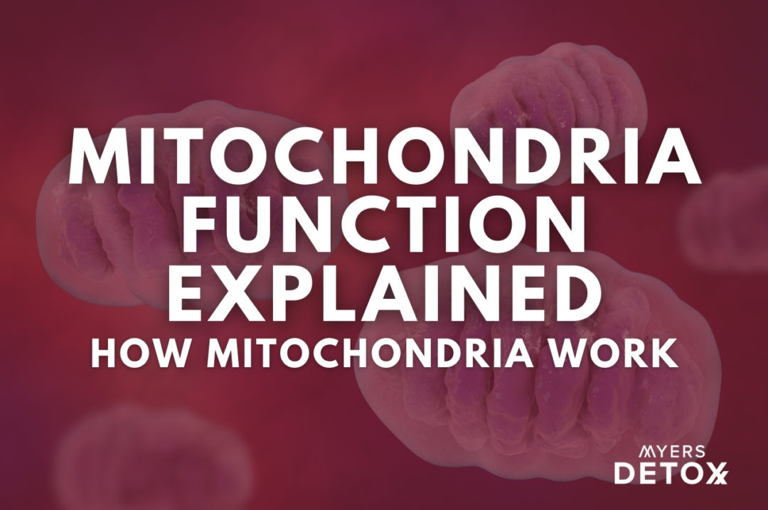 Mitochondria Function Explained: How Mitochondria Work - Myersdetox.com